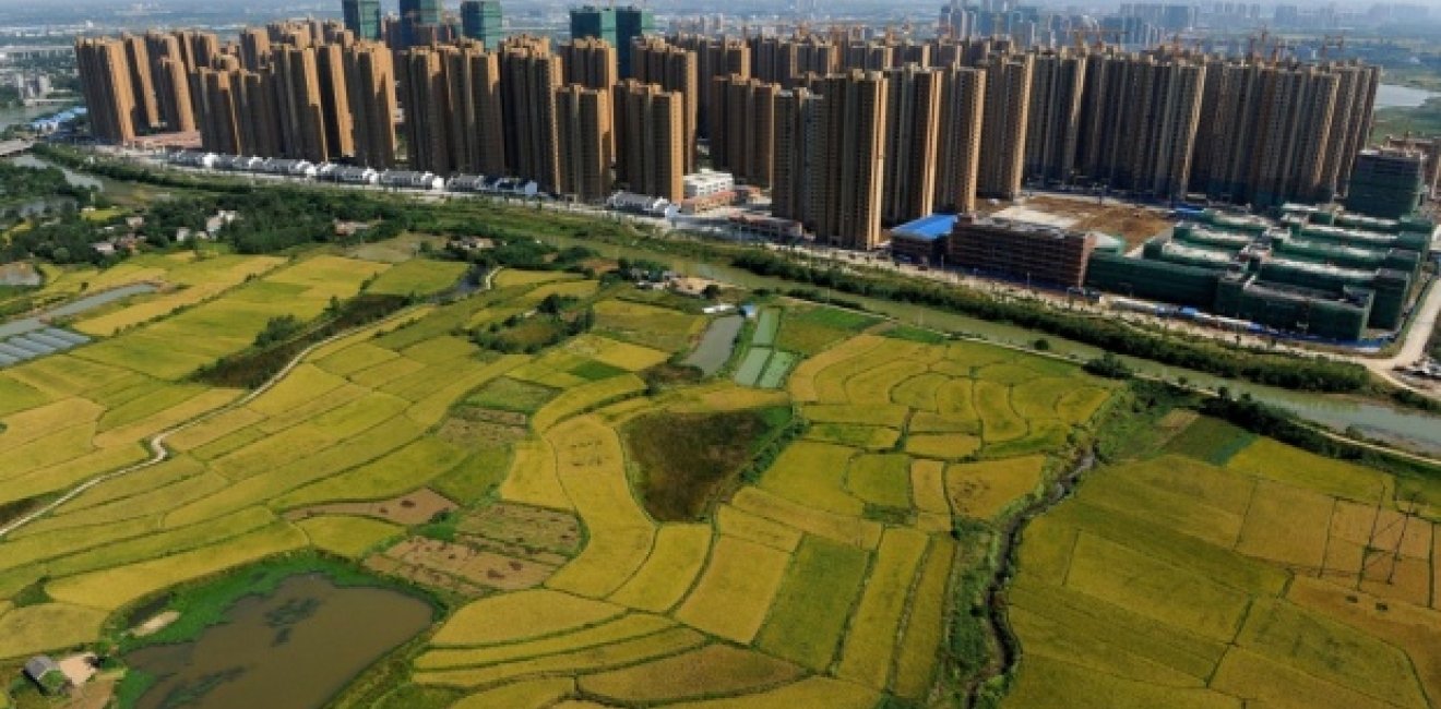 CEF Associate, Susan Chan Shifflett, Interviewed by the Guardian on ...