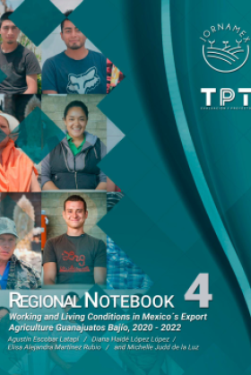 Regional Notebook Series 4 - Working and Living Conditions in Mexico's ...